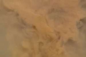 How to Floc a Dam in 24 Hours (to Clear Muddy Water) – Water Quality ...