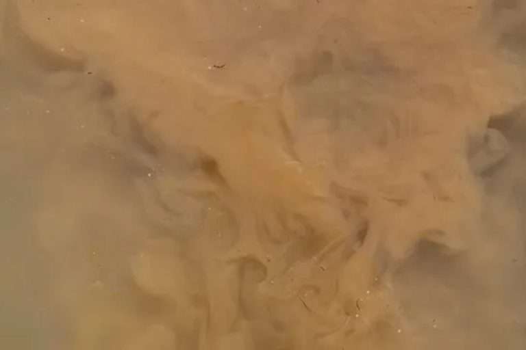 How to Clear Up a Muddy Dam – Water Quality Solutions