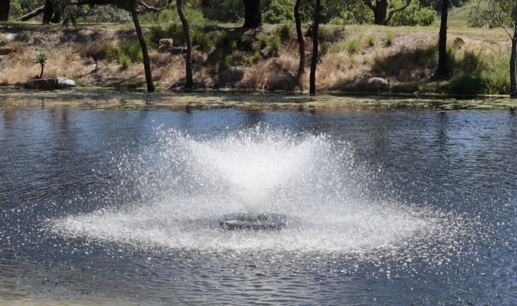 Carnival Aerating Fountain – Water Quality Solutions