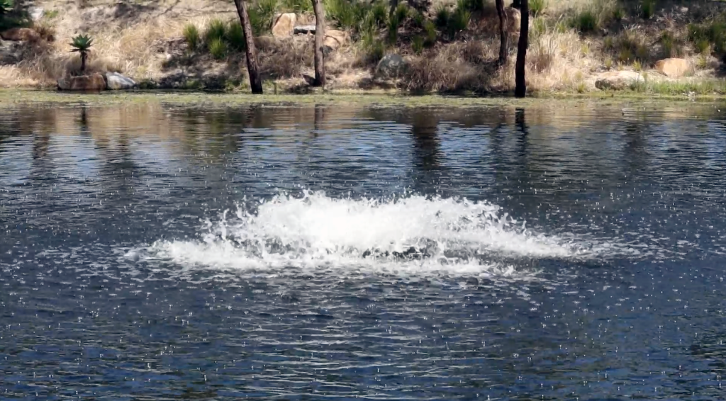 Professional Aerator – Water Quality Solutions