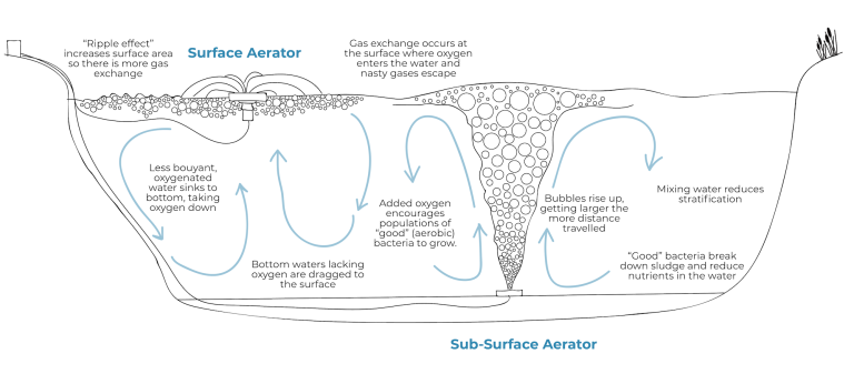 The Science Behind Aeration: Why It’s Essential for Water Health ...
