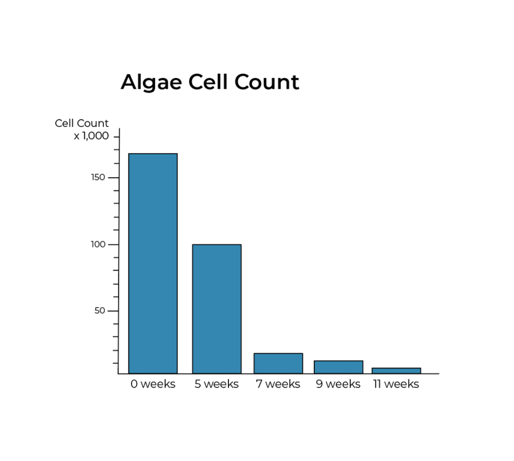 Customer Story: Algae Reduced by 98% in 11 Weeks Using Biostim – Water ...