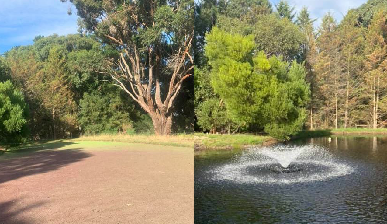 Customer Story: Eradicating Algae and Weeds in 6 Weeks with Aeration ...