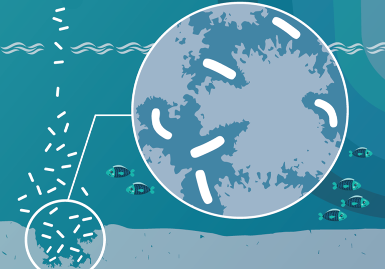 Biostim Pellets – Water Quality Solutions