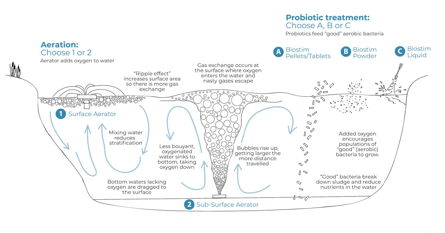 How do probiotics improve water quality? – Water Quality Solutions