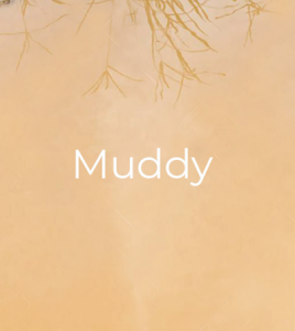 How to Clear Muddy Water – Water Quality Solutions