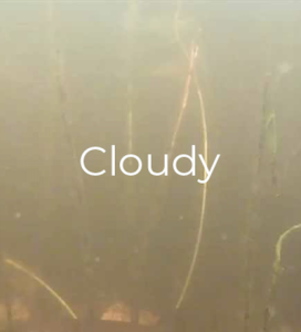 How to Clear Muddy Water – Water Quality Solutions