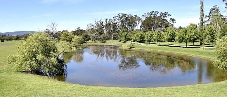 Top 7 Aerators for Residential Dams – Water Quality Solutions