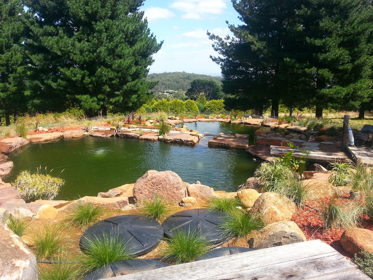 For a Perfect Swimming Pond, Start with a Tough, Dependable Liner ...