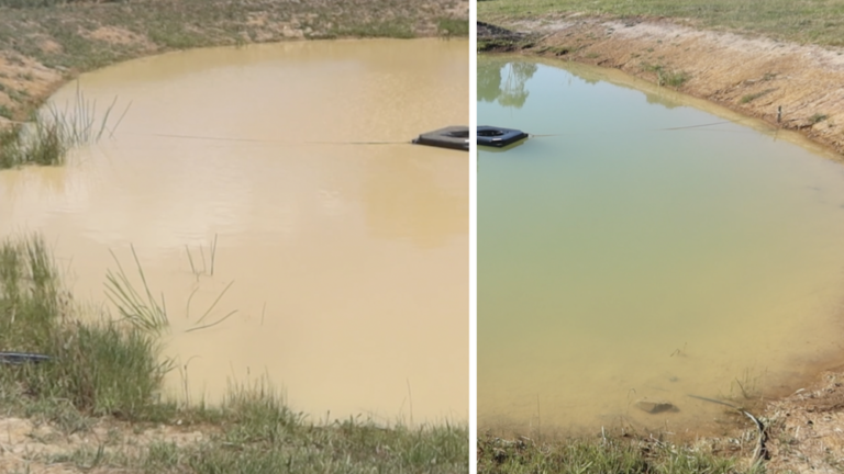 How to Floc a Dam in 24 Hours (to Clear Muddy Water) – Water Quality ...