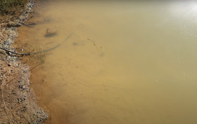 What Causes Muddy or Cloudy Water in Dams and Lakes? And How to Treat ...