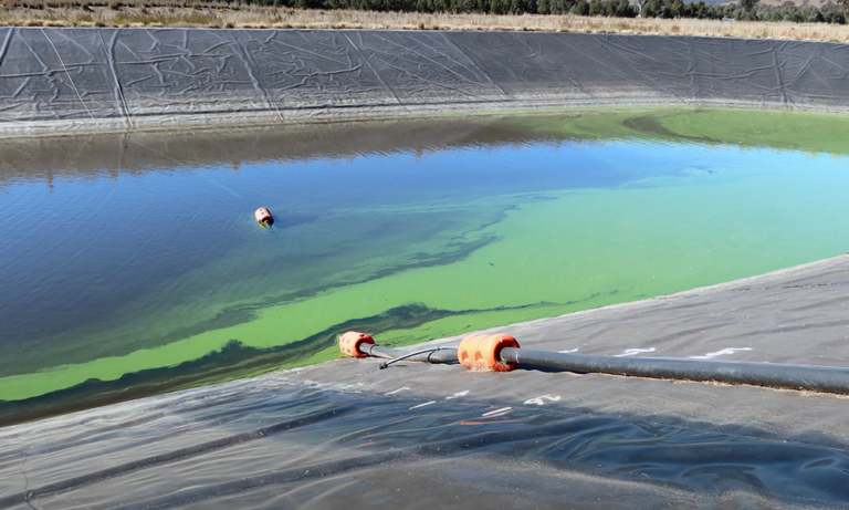 How to Get Rid of Blue-Green Algae from a Water Body – Water Quality ...